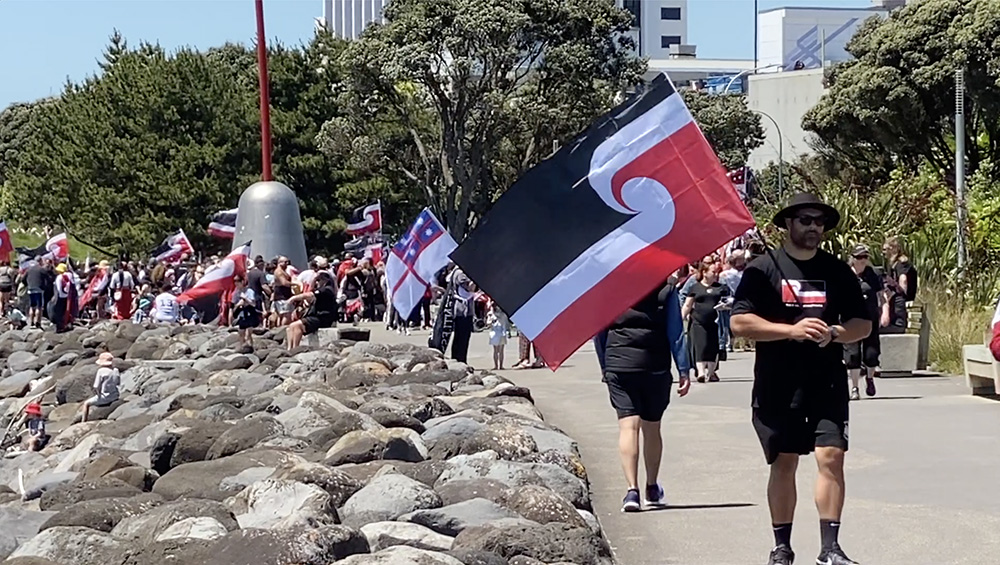 Te Tiriti Principles Bill hīkoi – BiograView